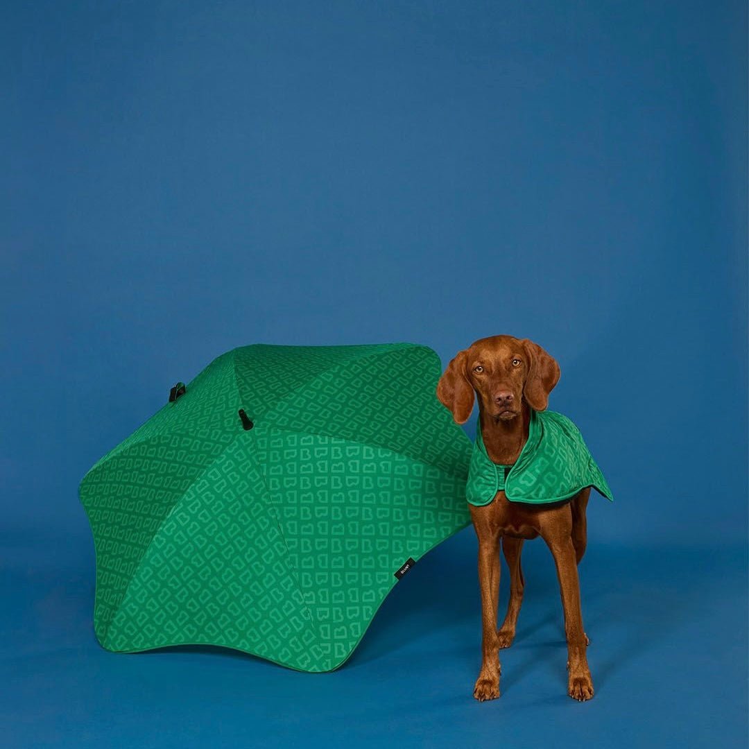 Blunt - Park Green Dog Jacket - The Flower Crate