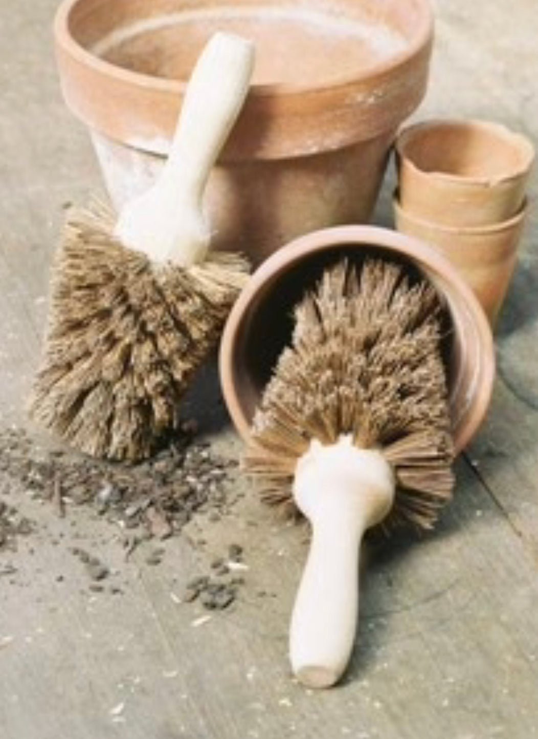 Garden Pot Brush - The Flower Crate